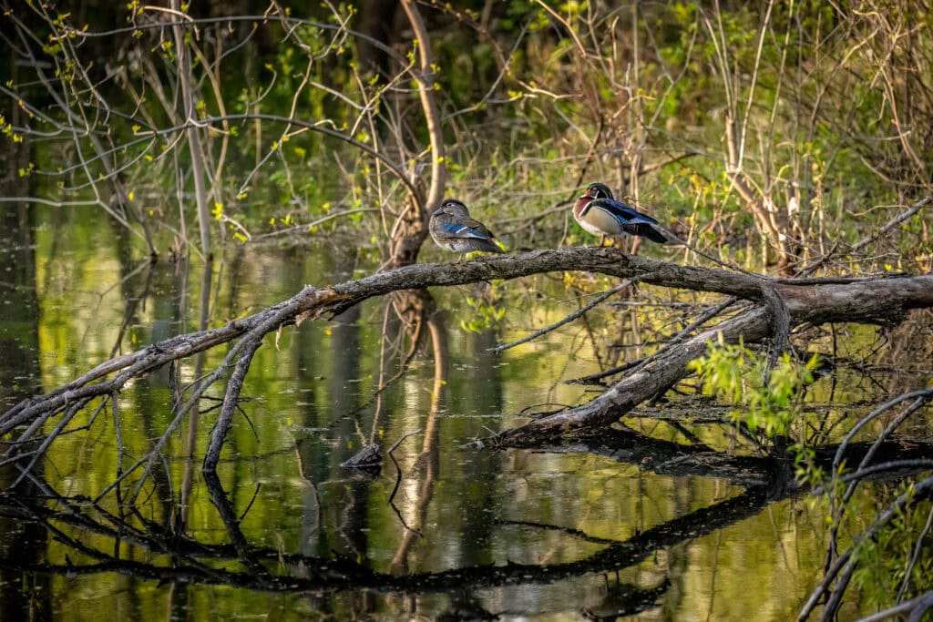 Maps & Trails - Explore Buffalo County Wisconsin