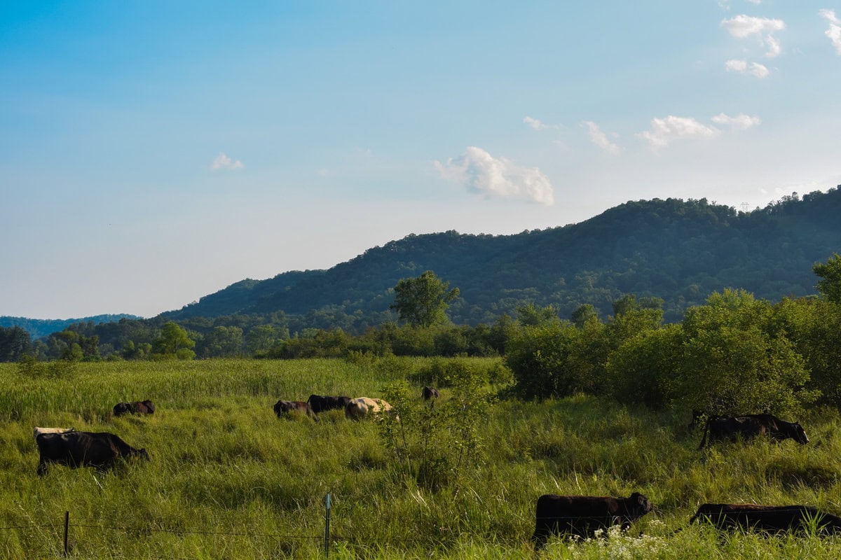 Explore Buffalo County WI - Buffalo County Tourism