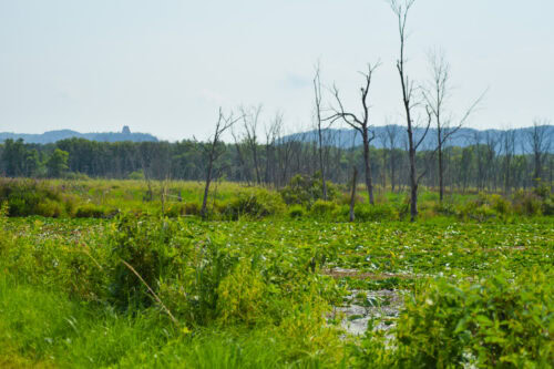 Maps & Trails - Explore Buffalo County Wisconsin